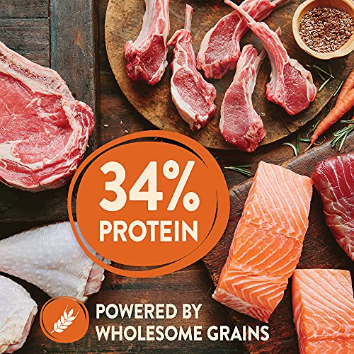 Wellness CORE Wholesome Grains Original Recipe, 24 Pound Bag