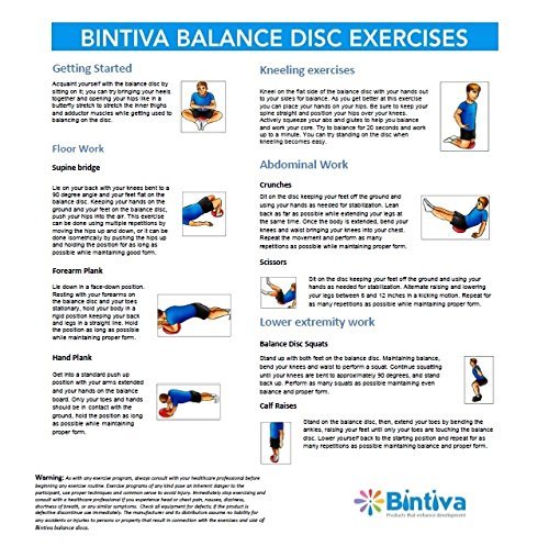 bintiva Round Balance disc Purple 33cm
