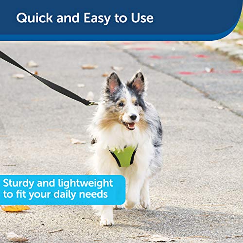 PetSafe Nylon Dog Leash - Strong, Durable, Traditional Style Leash with Easy to Use Bolt Snap - 3/8 in. x 6 ft., Black