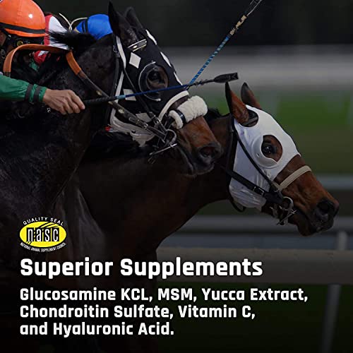Majesty's Kalm Wafers - Supports Horse / Equine Balanced Behavior and Normal Nervous System Function - Tryptophan, Vitamin B1, Winter Cherry, Inositol - 30 Count (1 Month Supply)