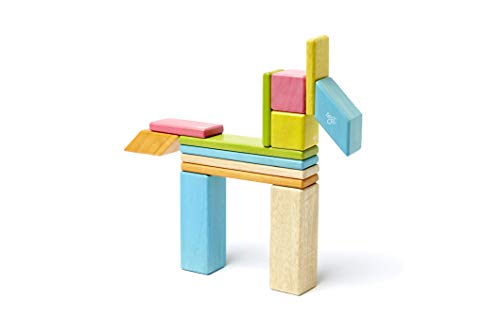 Tegu 14 Piece Magnetic Wooden Block Set in Tints