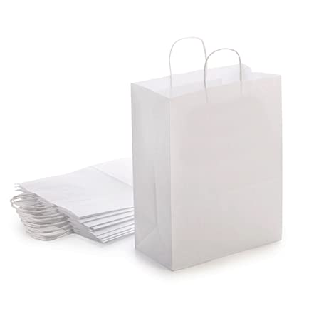 White Kraft Paper Bags with Handles Bulk - Gift Bags Medium Size for Paper Shopping Bags, Party Bags, and Bags for Small Business (8"x4.75"x10" - White Gift Bags Bulk Medium Size 25 Bags)
