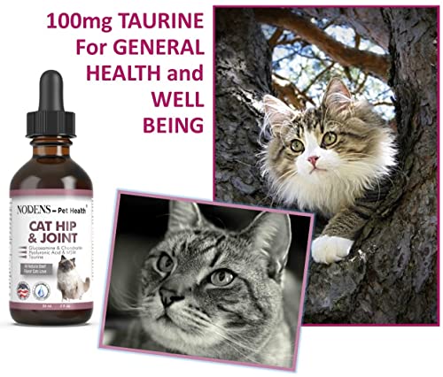 NODENS CAT Hip and Joint Glucosamine for Cats with Chondroitin and Opti-MSM® Hyaluronic Acid for Improved Joint Flexibility and Pain Relief from Inflammation and Cat Arthritis 2 floz