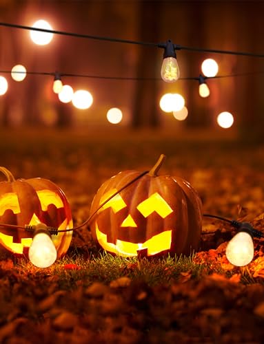 Brightech Ambience Pro Solar Powered LED Outdoor String Lights - 27 Ft Commercial Waterproof Patio Lights with Flaming, Flickering Bulbs - Shatterproof String Lights for Your Halloween, Porch, Deck