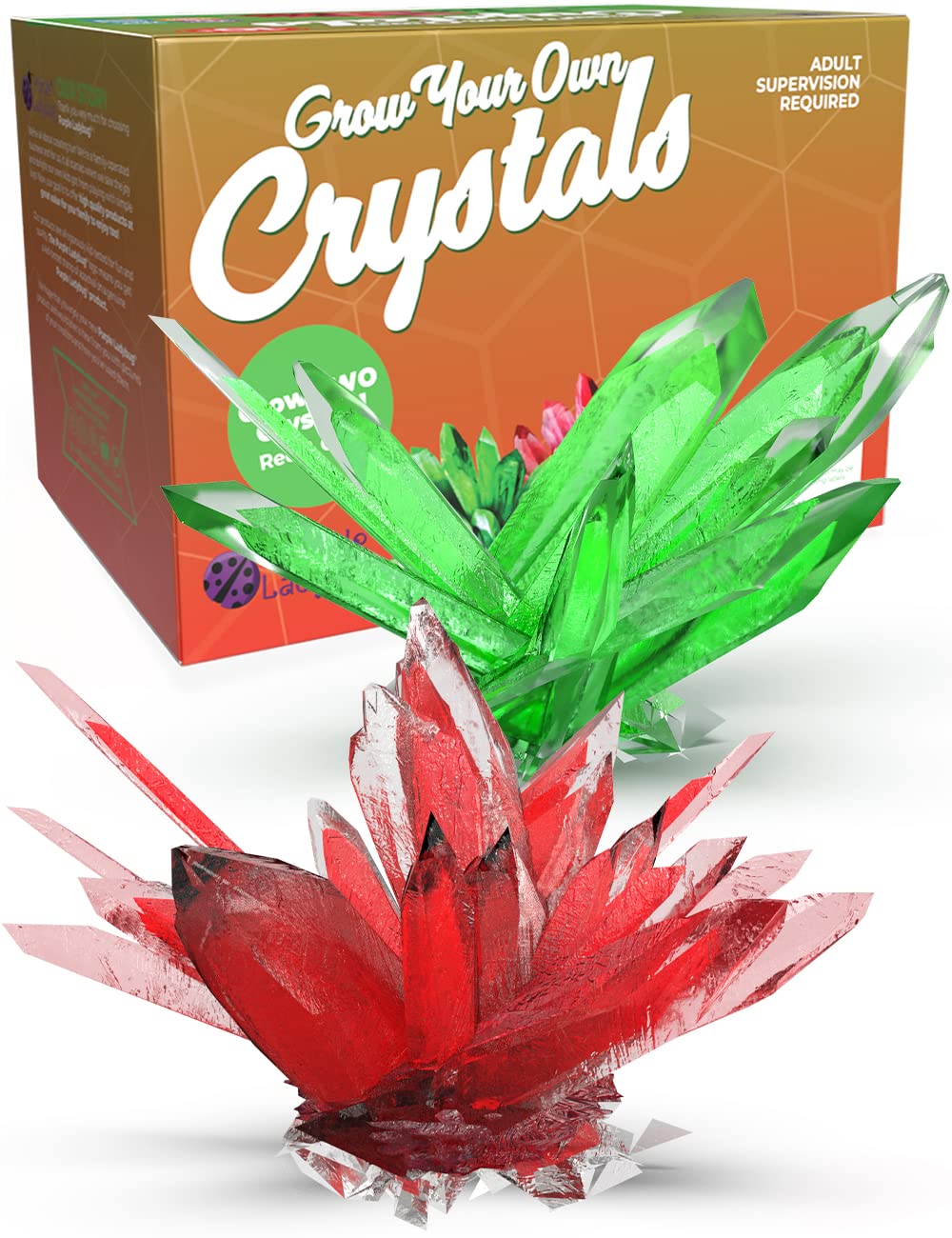 PURPLE LADYBUG Crystal Growing Kit for Kids for 10 Year Old Boys & Science Kits for Kids Age 12-14 - Fun STEM Projects for Kids & Science Experiments Educational Activity Kits for Teens