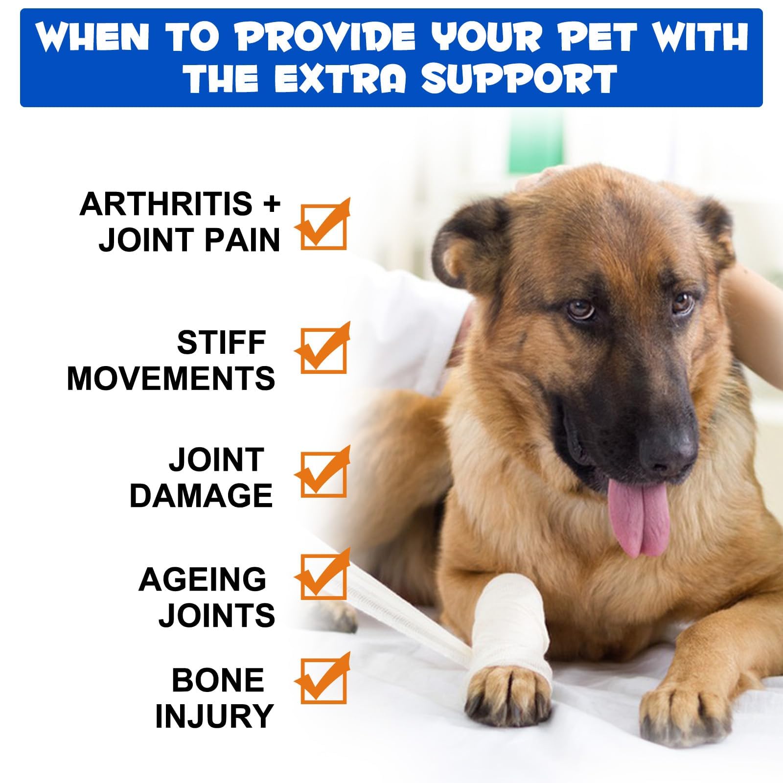Dog Joint Aid & Relief Supplement with Chondroitin & Glucosamine HCl β Relieves Joint Pain & Reduces Inflammation for Senior Dogs, Active Adults & Puppies