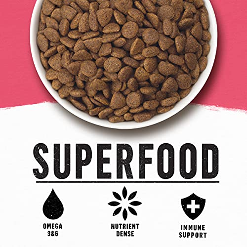 Purina Beyond Natural Dry Dog Food, Superfood Blend Salmon, Egg & Pumpkin Recipe - 3.7 lb. Bag