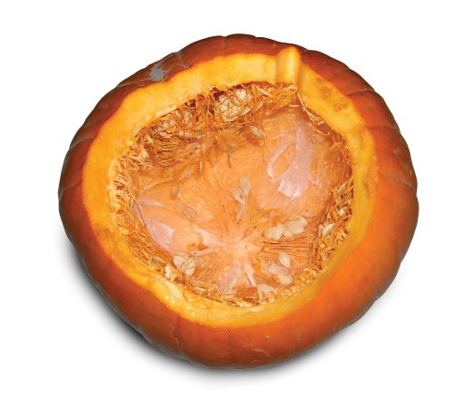 Dakota Products PG001 Pumpkin Gutter & Carving Tool,Silver