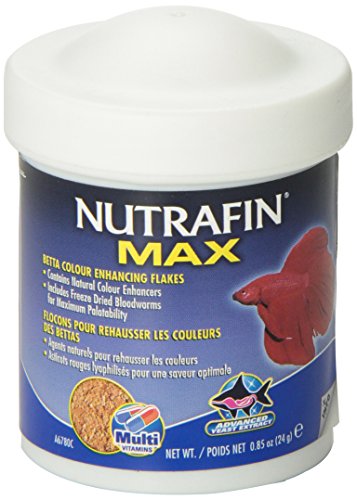 Nutrafin Max Betta Color Flakes, 0.85-Ounce