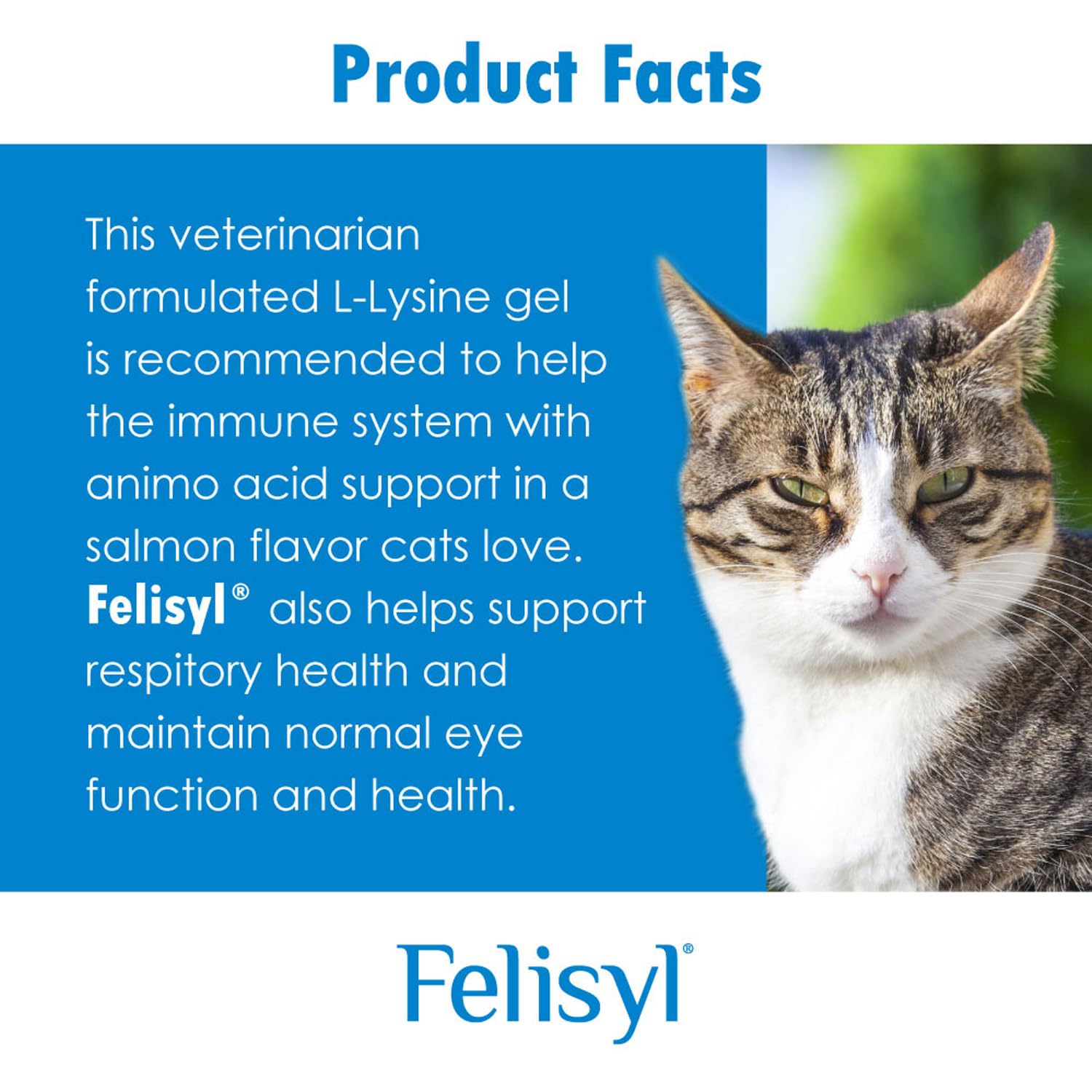 Felisyl L-Lysine Gel for Cats - Immune System Support - Supplement Support for Healthy Tissue, Respiratory, and Vision - Salmon-Flavored - Made in The USA - 15 oz
