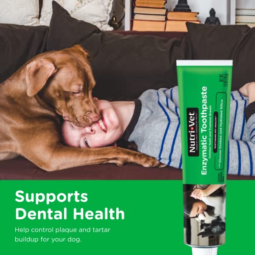 Nutri-Vet Enzymatic Toothpaste for Dogs - Non-Foaming Chicken Flavor - Promotes a Healthy Active Lifestyle - 2.5 oz