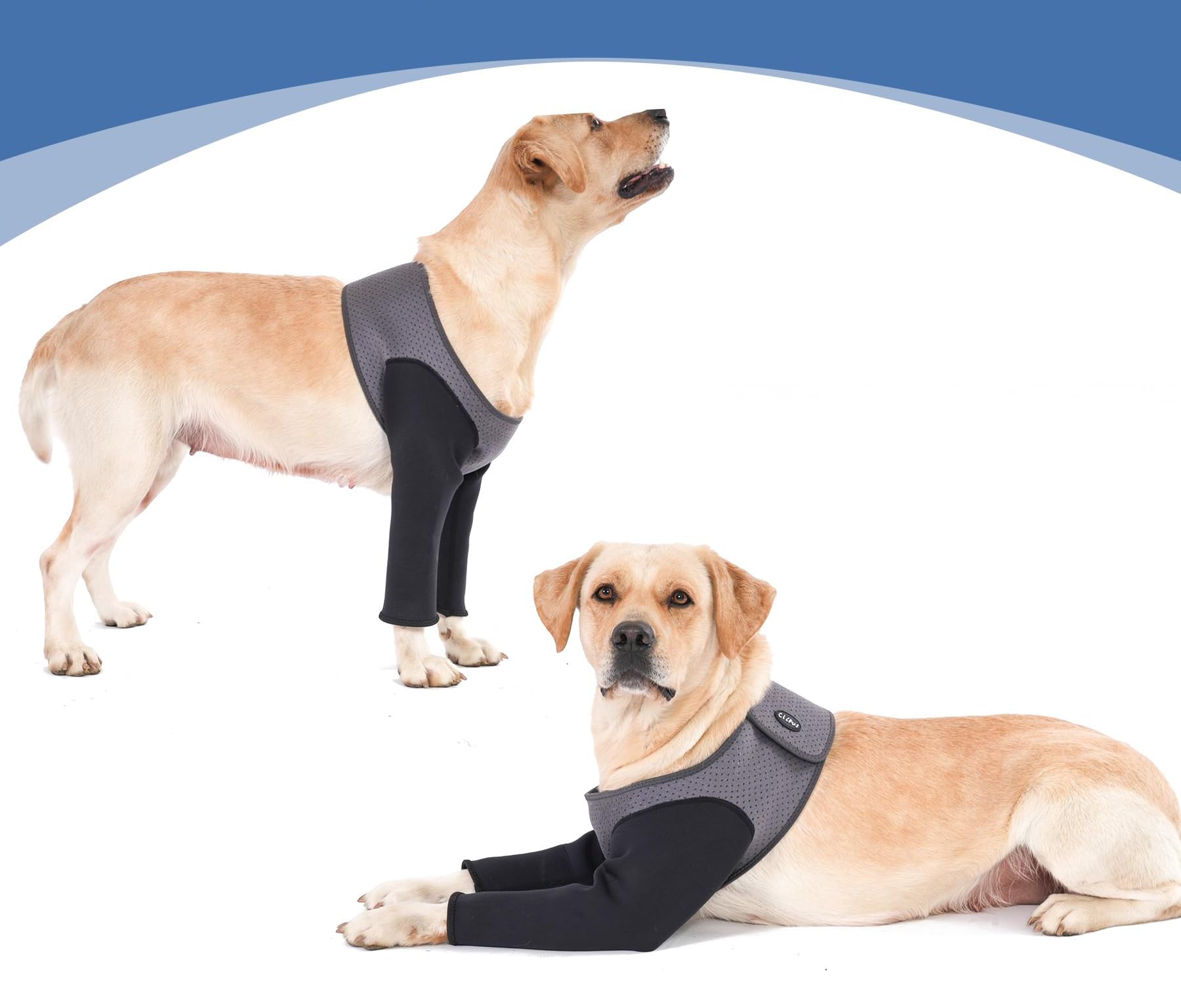 Dog Sleeves for Wounds Both Front Legs,Cone Collar Alternative, Abrasion Resistant Dog Recovery Sleeve, Washable 2.5mm Thick and Waterproof, Breathable Pet Wounds Prevent Licking, Bite Grey (Large)