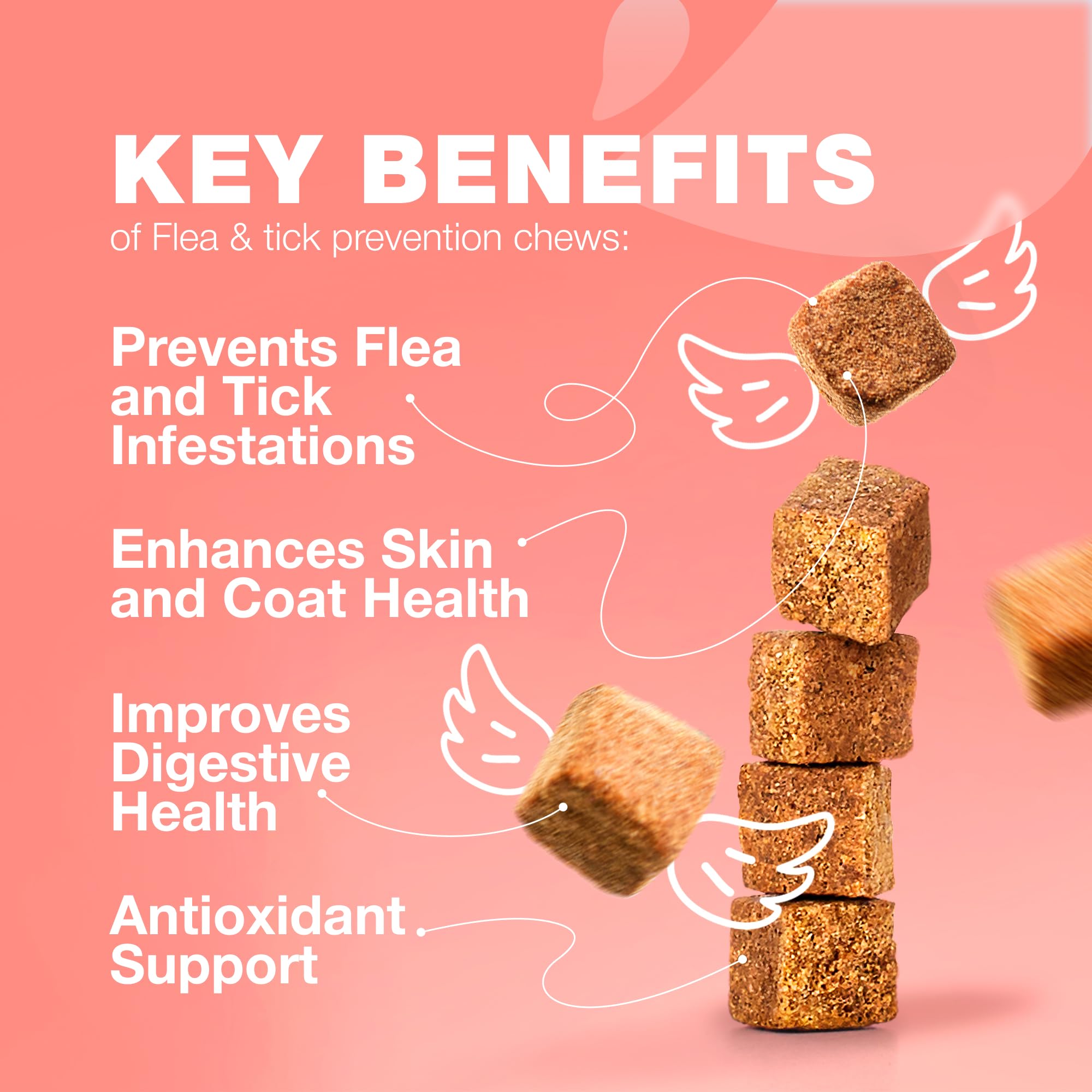 Cat Support Chews, Cat Soft Chews Supplement - Vitamins B Blend - Overall Health Maintenance - Flea Support for All Breeds, Cat Chewables