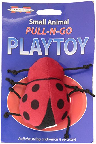 Marshall Pull-N-Go Ferret Toy, Assorted Style