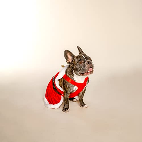 Doggy Parton Red Faux Fur Trimmed Dollys Little Holiday Dress for Pets, Medium