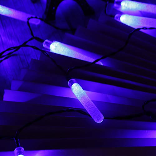 Pinsofy Outdoor Solar Lights String, Constant Light and Flashing Effect Solar String Lights Outdoor for Garden for Home Decoration for Wedding Party(Blue)