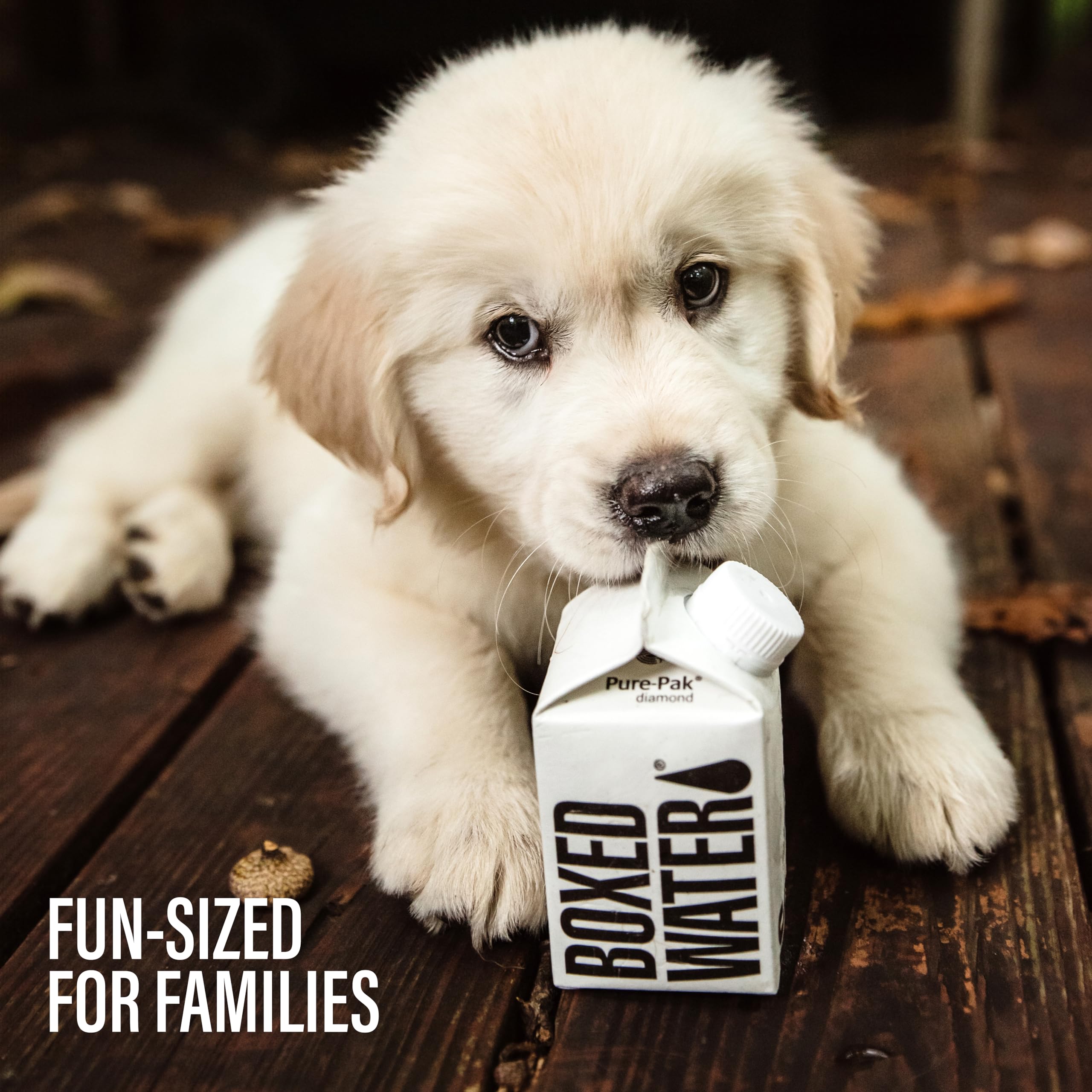 Boxed Water 8.5 oz. (24 Pack) β Purified Drinking Water in 92% Plant-Based Boxes, 100% Recyclable, BPA-Free, Refillable Cartons, Sustainable Alternative to Plastic Bottled Water, Mini Water for Kids
