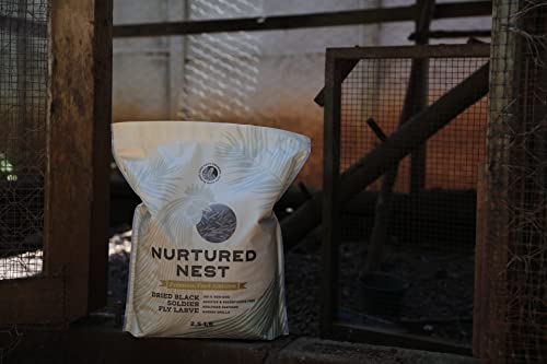 Nurtured Nest Premium Black Soldier Larvae - High Protein/High Calcium Chicken Treats - Better Than Mealworms - Non-GMO, Additive Free (2.5 lb)