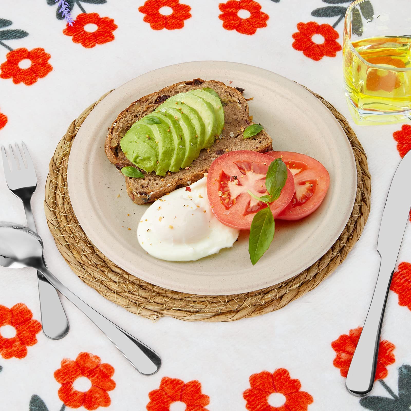 Biodegradable Sugar Cane Bagasse Plate Disposable Sugarcane Paper Plates