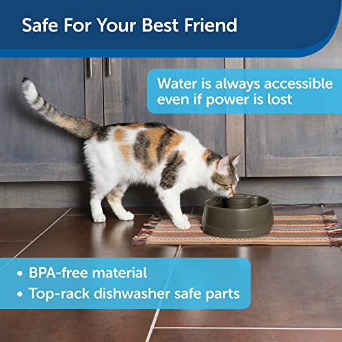 PetSafe Current Pet Water Fountain - Circulating Drinking Fountain for Cats and Dogs - Small, Forest, 40 oz Capacity Water Dispenser - Carbon Filter Included - Easy to Clean Design