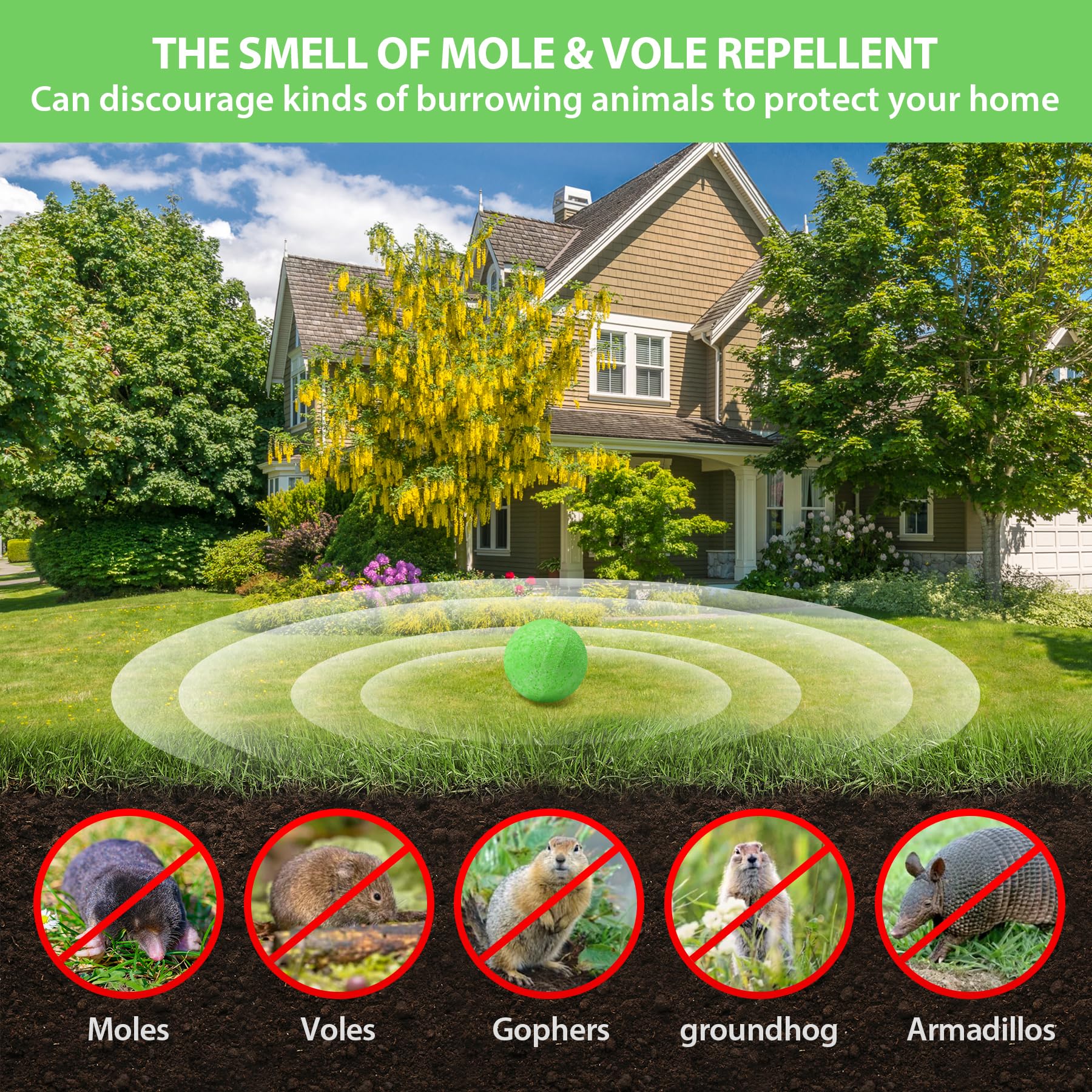 Homsor Mole Repellent for Lawns Castor Oil 10 Packs Gopher Repellent Groundhog Repellent Outdoor Pet Friendly Vole Deterrent Ball to Keep Mole Vole Gopher Groundhog Armadillo Away in Yard Garden