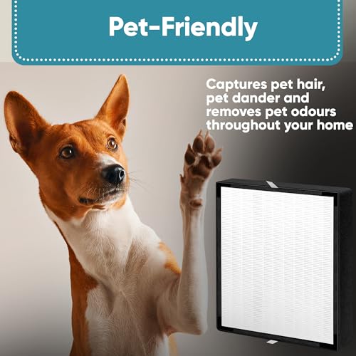BF35 True Hepa Filter Replacement - for BreatheSmart Classic Air Purifier - Compatible with BF35 Includes Grade H13 True HEPA Filter & Carbon Pre-Filter