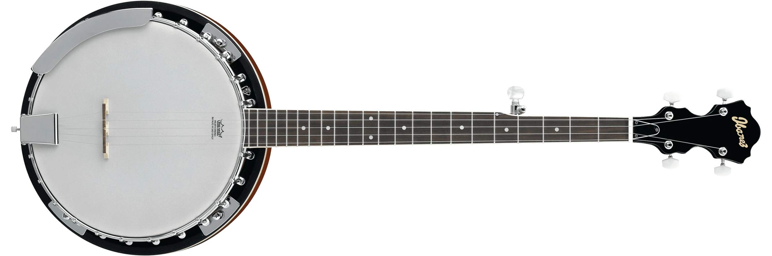 B50 5-String Banjo