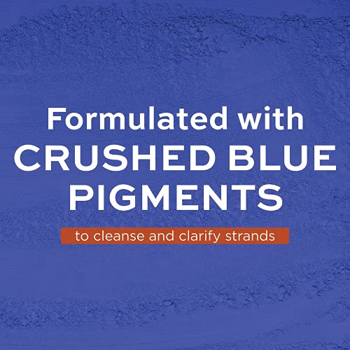 John Frieda Blue Crush Blue Shampoo and Conditioner Set for Brunettes, Crush Brassy Tones for Brunettes, 8.3 Fl Oz
