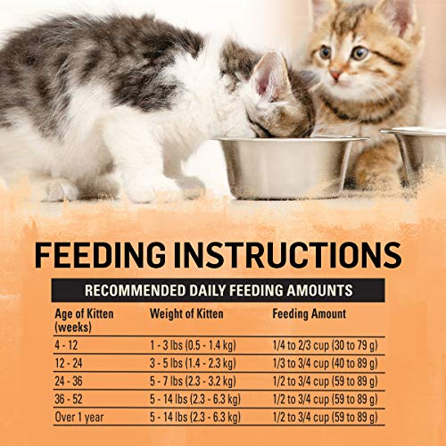 Beyond Purina High Protein, Natural Kitten Food, Kitten Chicken & Oatmeal Recipe - 3 lb. Bag