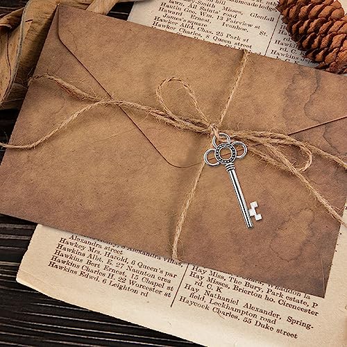 Mixed Set of 30 Large Skeleton Keys in Antique Silver - Set of 30 Keys (Silver Color)