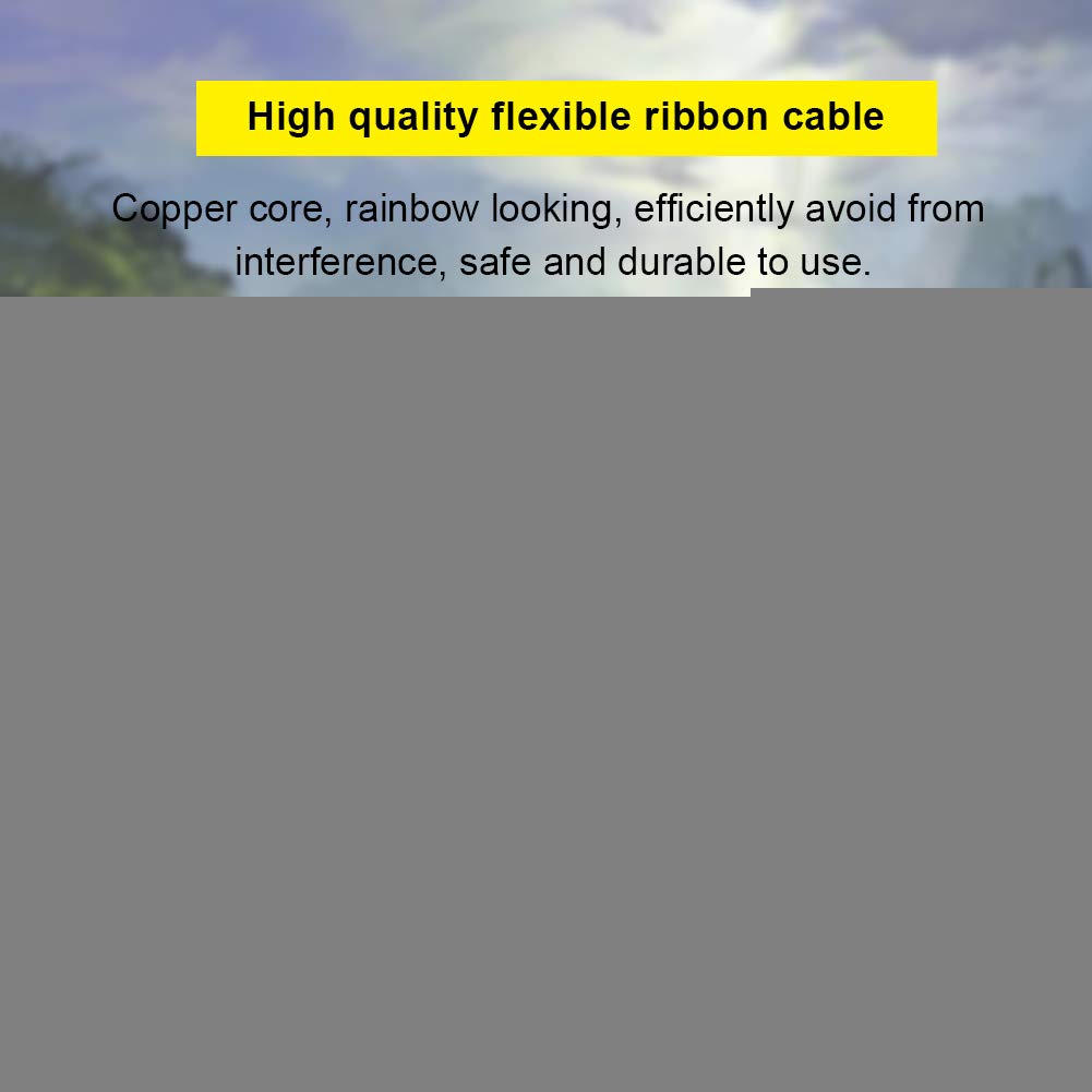 Bewinner 40Pin Rainbow Female to Female GPIO Adapter Cable for Banana Pi/Raspberry Pi 2/3 - Compatible with for Banana Pi/Orange Pi 2/3. 40 Pin Interface - Flexible Ribbon Cable, Copper Core