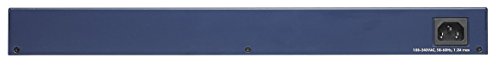 ProSafe 48-Port 10/100 Smart Switch with 2 Gigabit Ports