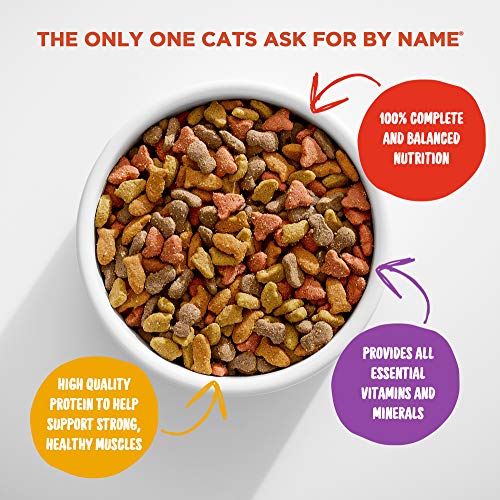 Meow Mix Original Choice Dry Cat Food, 22 Pounds