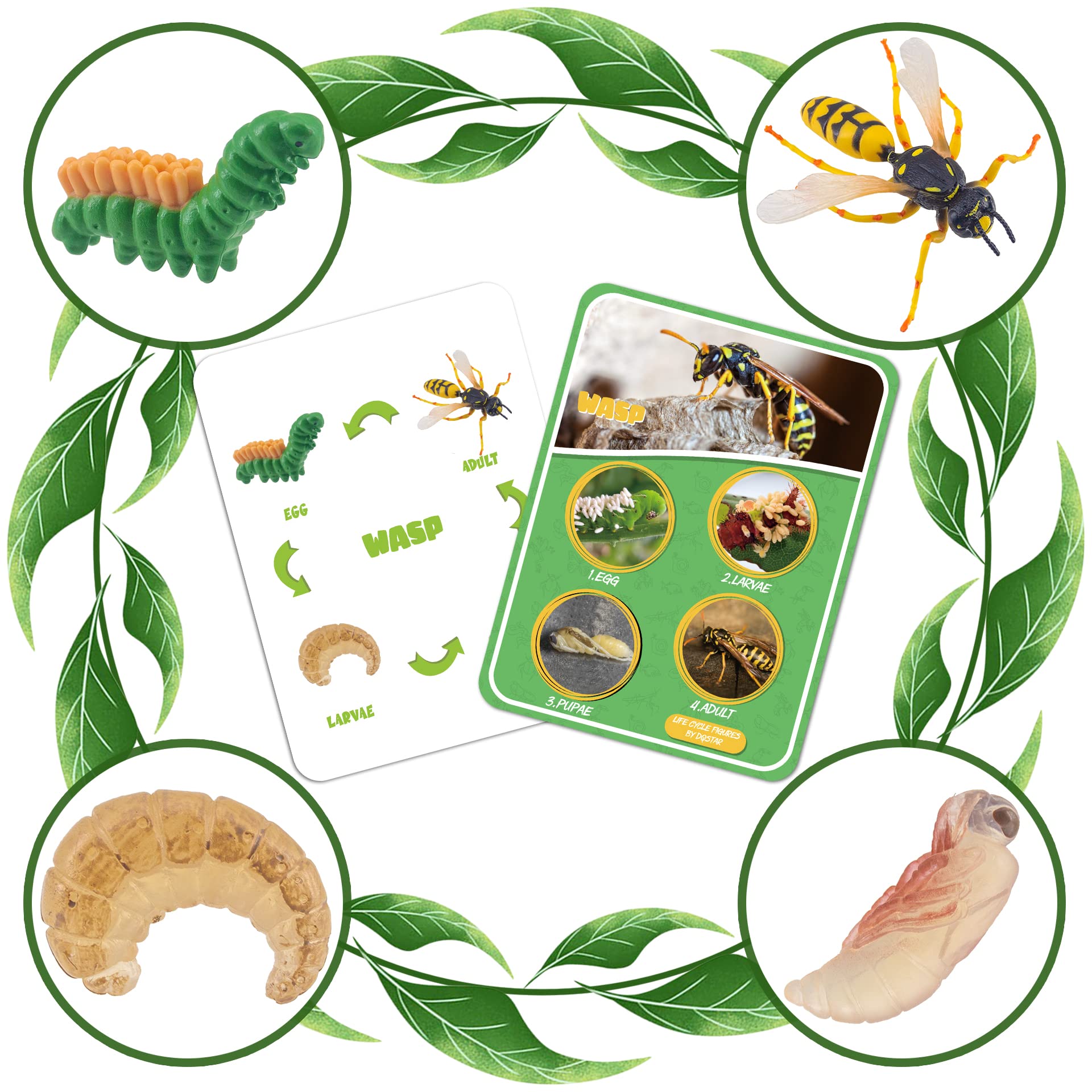 Life Cycle Figures of Frog, Chicken, Sea Turtle, Butterfly, Wasp, Locust, Science Toys kit, Animal Figures for Kids Age 3-12
