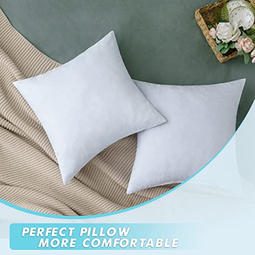 MIULEE Set of 2 Decorative Throw Pillow Covers Rhombic Jacquard Pillowcase Blend 18x18 Pillow Inserts Set of 2-Decorative Shredded Memory Foam Cooling Throw Pillows, Beige