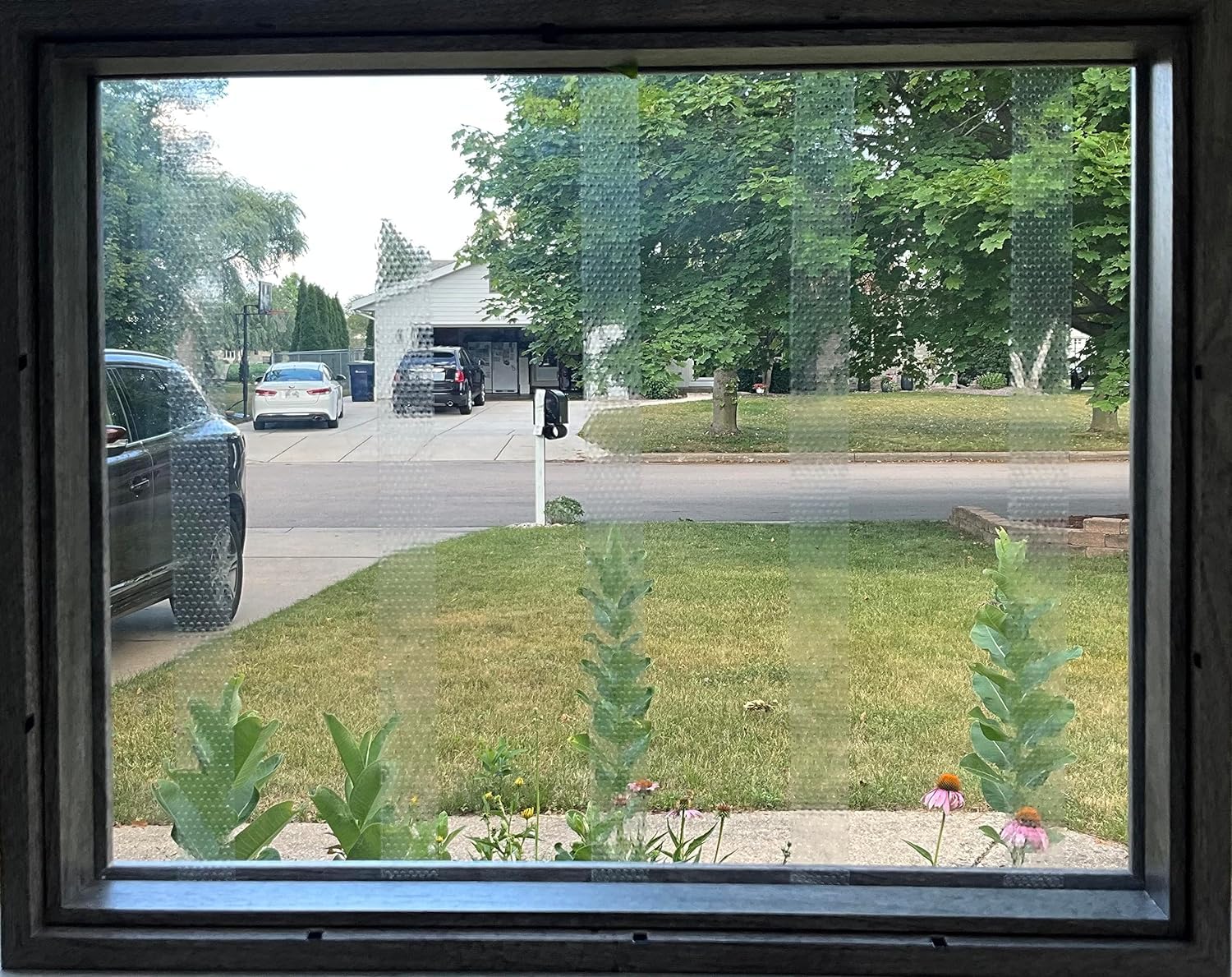CollidEscape Spiderweb Clear Bird Tape for Windows (3/4" x 40' - Covers 2 to 3 Windows) | Window Decals to Prevent Bird Strike Prevention for Windows | Clear