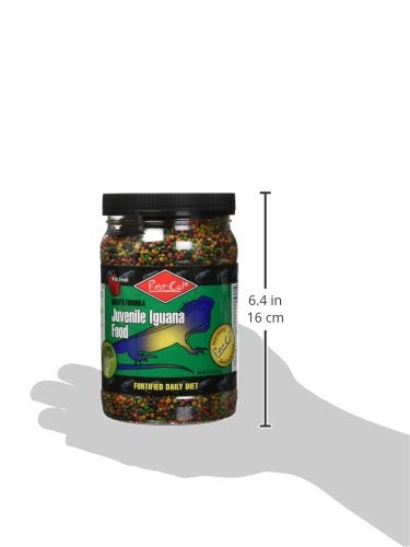 Rep Cal Iguana Food Juvenile 14.5oz