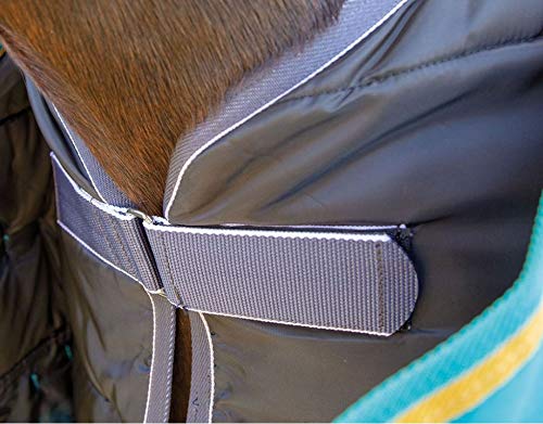 Shires WarmaRug 200 Gram Blanket Liner 75 Black