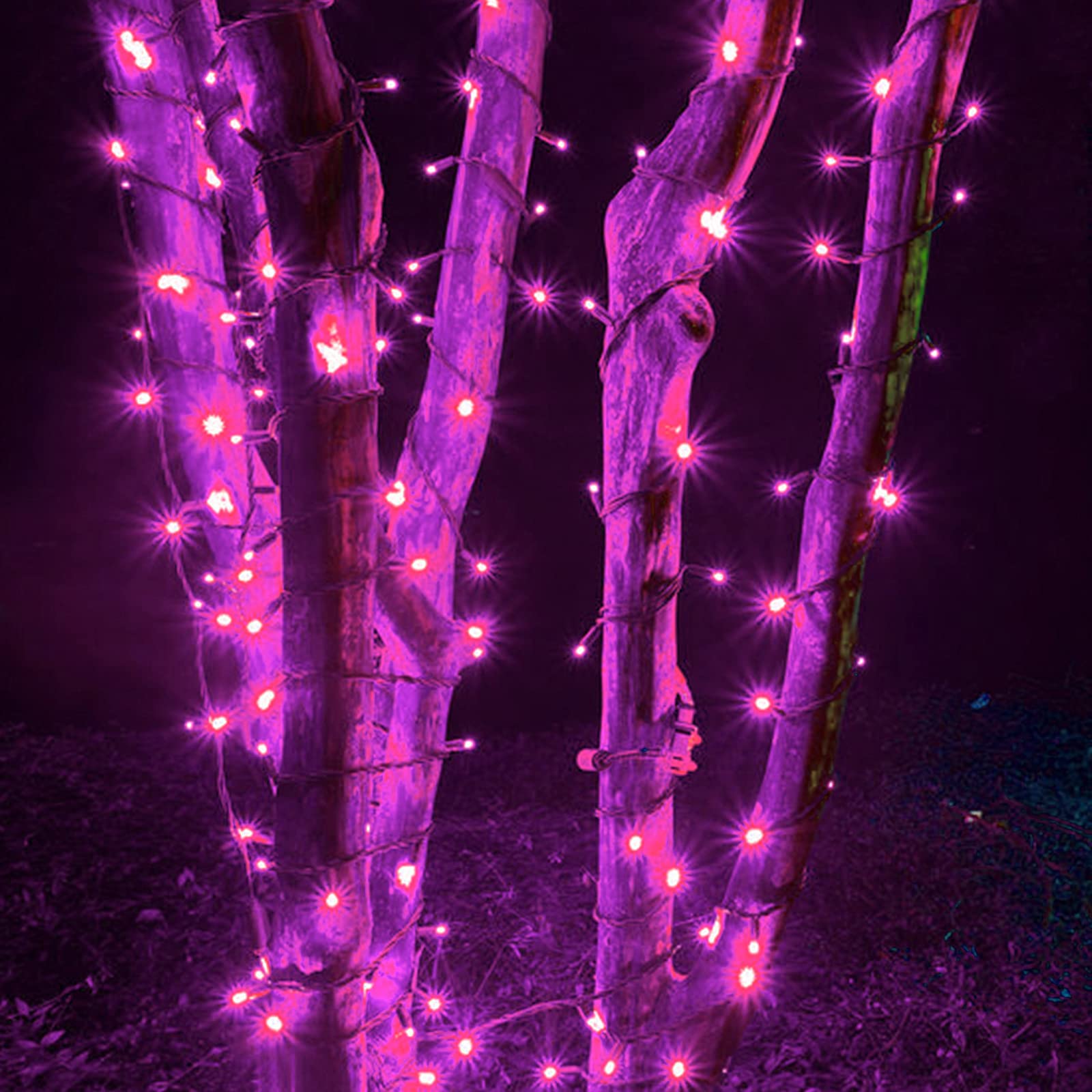 Birsppy Minleon UL Certified Green Wire Wide Angle LED Christmas String Lights, 25Ft 50 LED Commercial Grade 5MM Christmas Light Set, Connectable String Light (Purple)