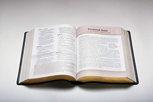 Every Man's Bible: New Living Translation, Large Print, TuTone (LeatherLike, Brown/Tan) β Study Bible for Men with Study Notes, Book Introductions, and 44 Charts