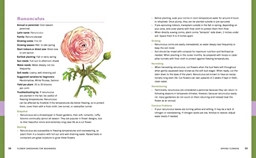 Flower Gardening for Beginners: A Guide to Growing and Maintaining a Cut-Flower Garden