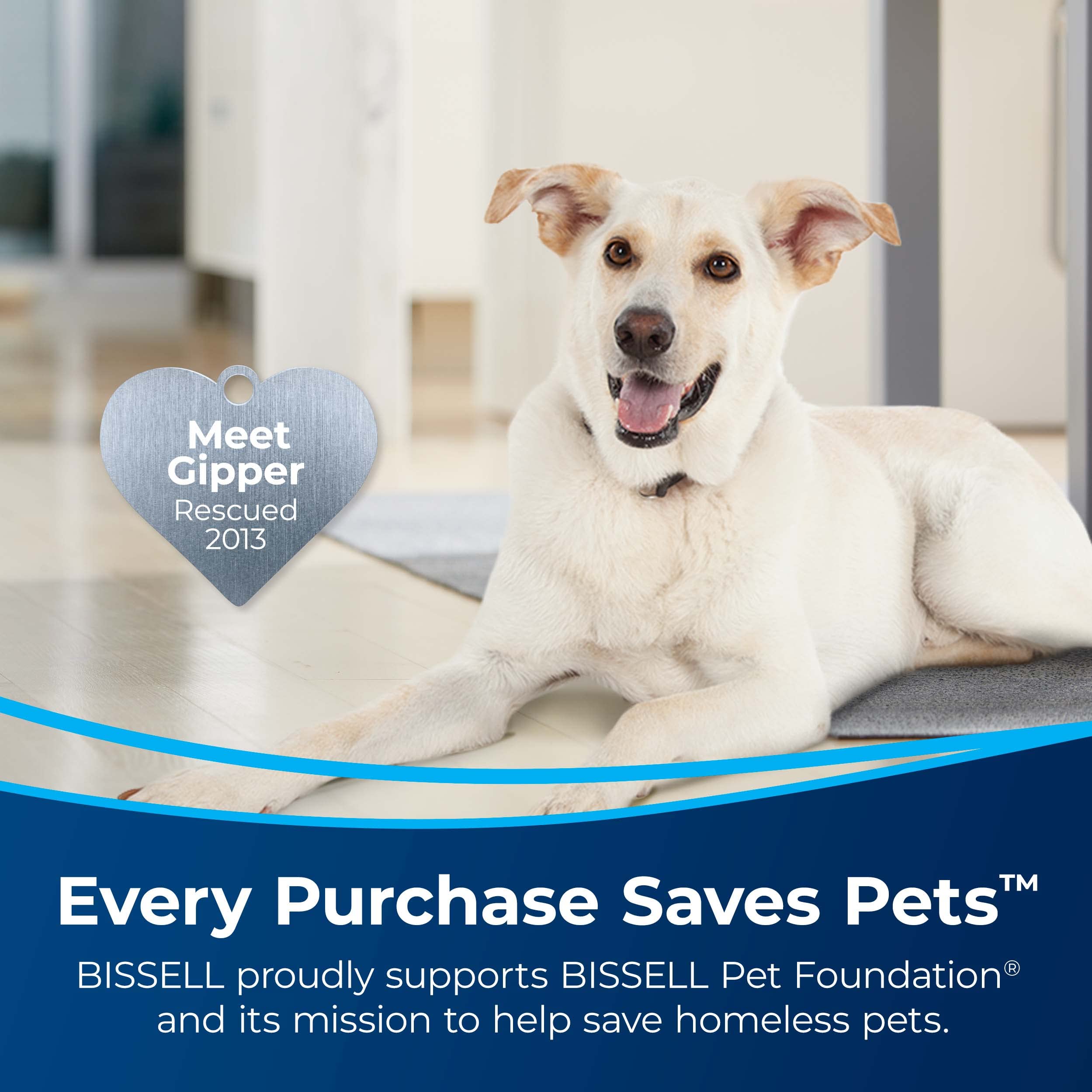 Bissell Pet Multi-Surface Febreze Freshness for Crosswave and Spinwave (64 oz), 22951, 64 Ounce, 64 Fl Oz & PET PRO OXY Spot & Stain Formula for Portable Carpet Cleaners, 32 oz, 2034