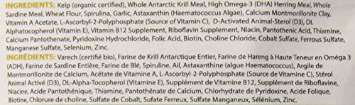 Northfin Veggie Formula, 2 mm, Sinking Pellets, 100 g