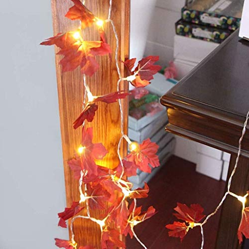 LIUPENGWEI Christmas String Lights, 3M, 20 LED Fairy Lights Theme Maple String Lights Home Decoration Fall Garden Garden Ghost Light