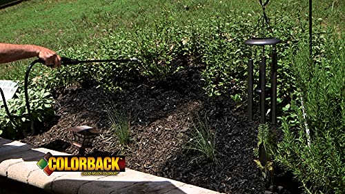 COLORBACK Mulch Liquid Color Concentrate, 6,400 Square Feet Coverage, 1/2-Gallon, Black