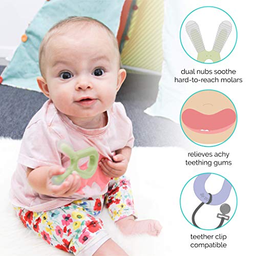 Baby Molar Teether | ZoLi Bunny Baby Teething Toy, Gum Massaging Molar Gums Relief, Easy to Hold and chew, BPA, Phthalate, and Toxin Free teether, sage Green + ash Grey (Pack of 2)