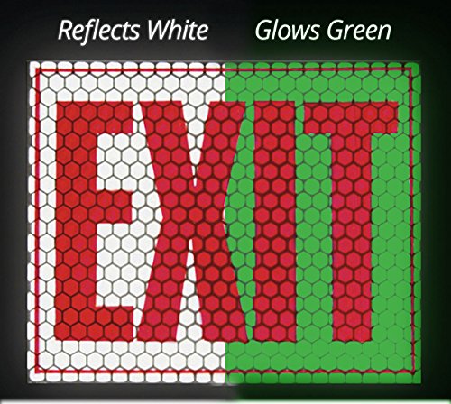 Cyalume Cyflect Glow in the Dark and Reflective Emergency Exit Sign, 8 Inches x 10 Inches, Adhesive Backing