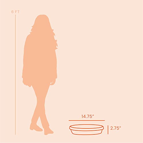 Bloem Terra Pot Round Drain Saucer: 16" - Terra Cotta - Tray for Planters 11-16", Matte Finish, Durable Resin, Ribbed Bottom, for Indoor and Outdoor Use, Gardening, Planter Not Included