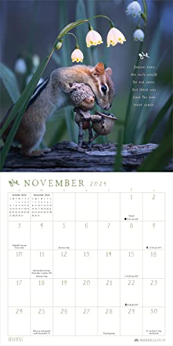 Becorns 2024 Mini Wall Calendar: Forest Folk by David M Bird | Compact 7" x 14" Open | Amber Lotus Publishing