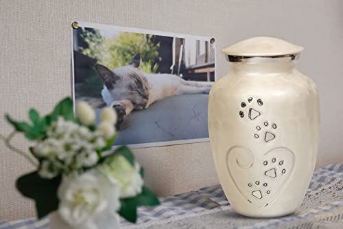 Bedding Craft - Elegant Large urn for pet Ashes - Dog paw Print kit for Pet Ashes, Pet urns - Spacious 8" x 6" Size